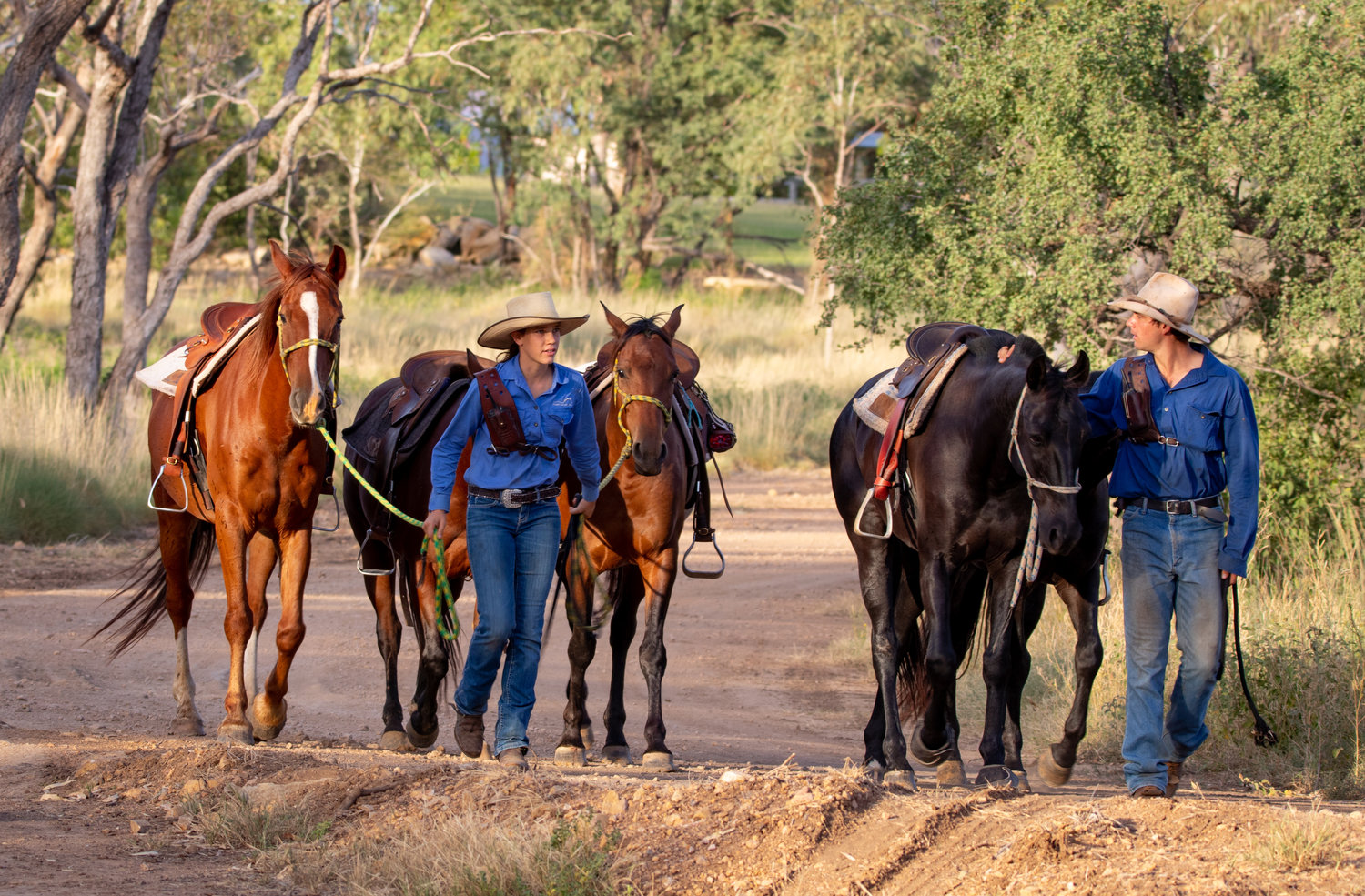 Fossil Downs Station - Hancock Agriculture