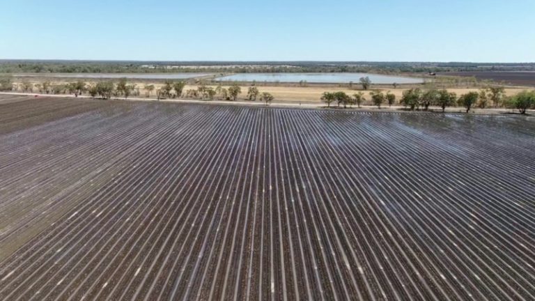 Hancock buys into Downs cropping with Warra Warra purchase - Hancock ...