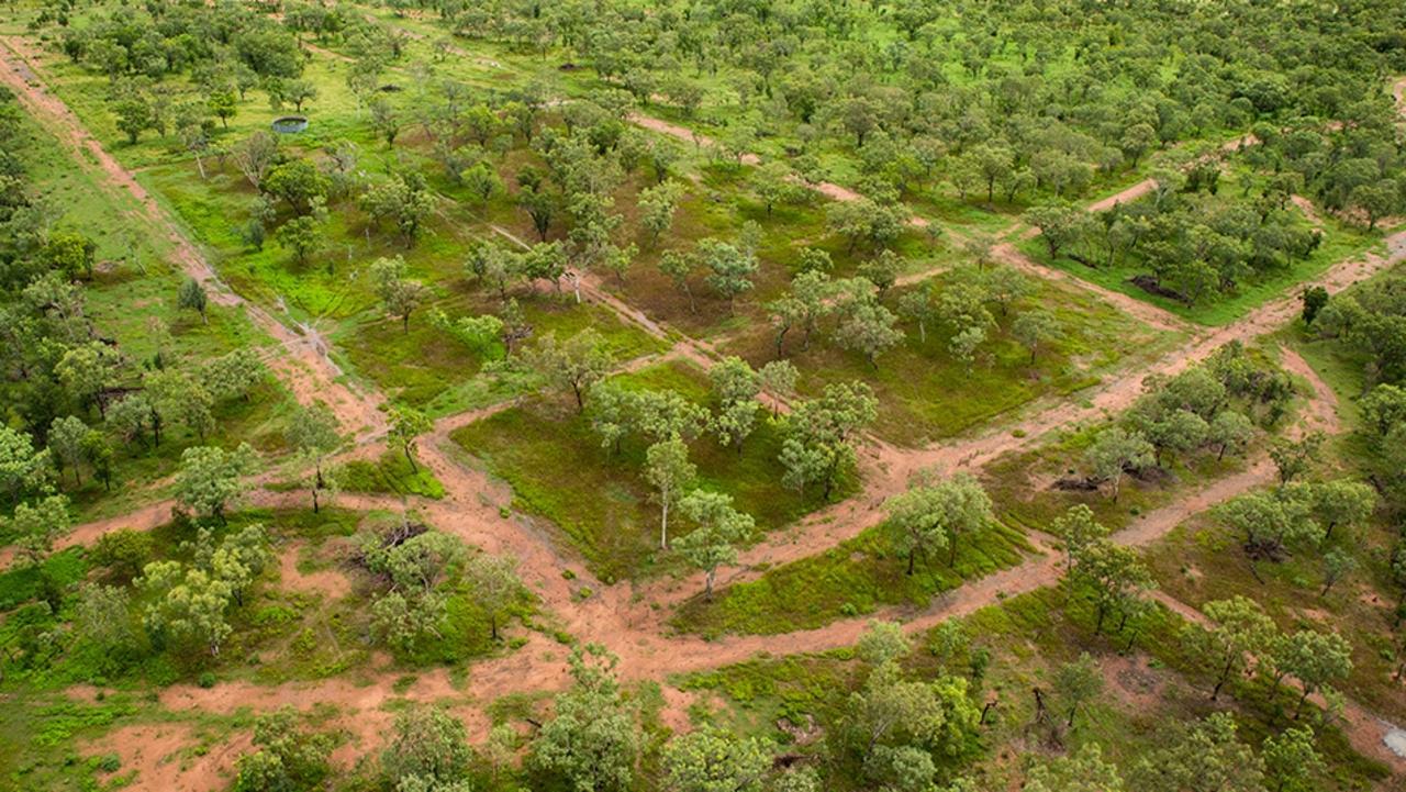 No beef with wagyu in Rinehart reshuffle - Hancock Agriculture