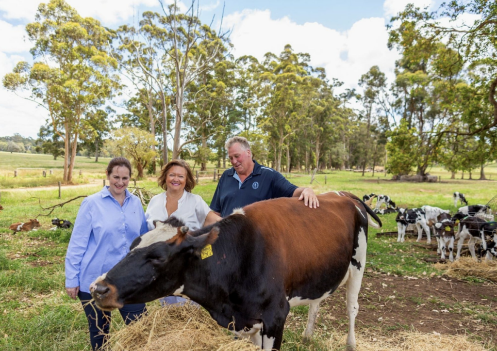 Happy cows recipe for better class of milk, study suggests - Hancock ...